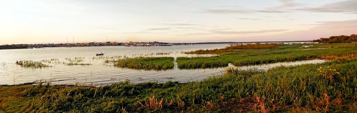 Coari - Südamerikafans