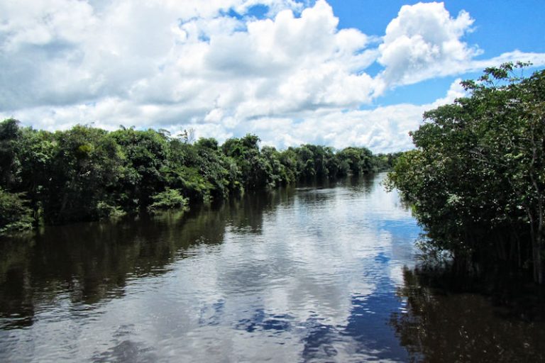 Rio Jutaí - Südamerikafans